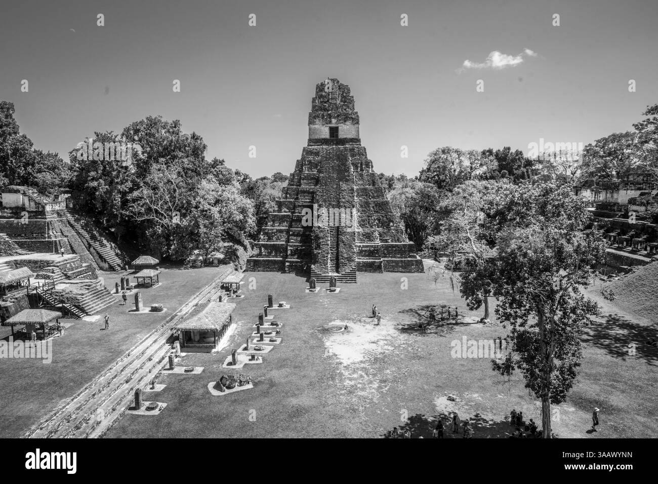 Altar El Gran Jaguar in Tikal, Peten, Guatemala Stock Photo - Alamy