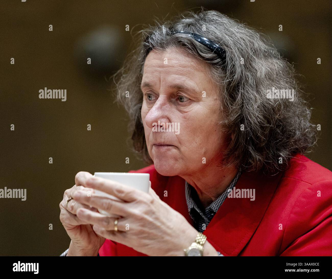 THE HAGUE - Marjolein Faber, Minister of Asylum and Migration, during ...
