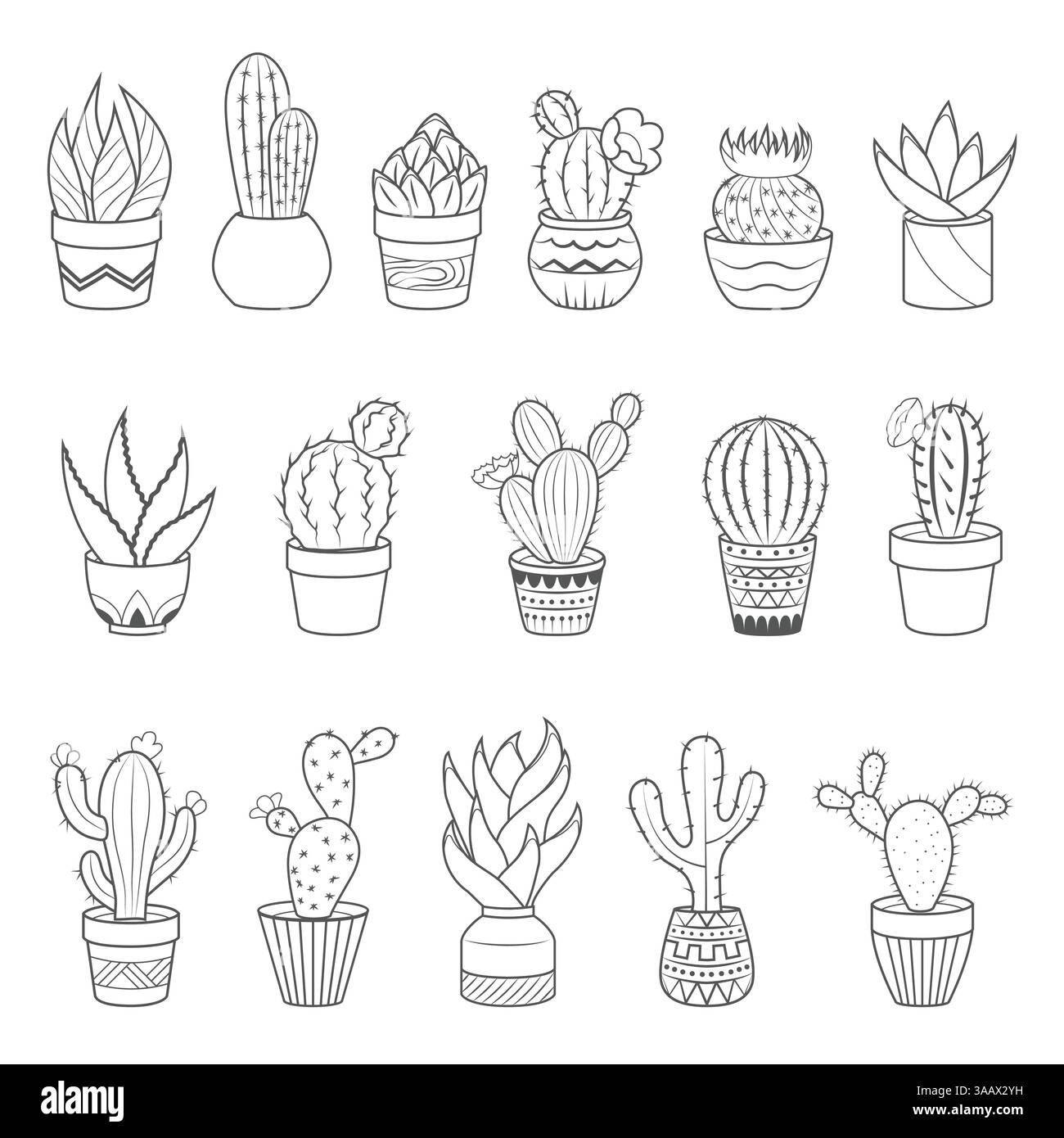 Set of 16 vector cactuses and succulents in flower pots. Home cactus plants with prickles and ...