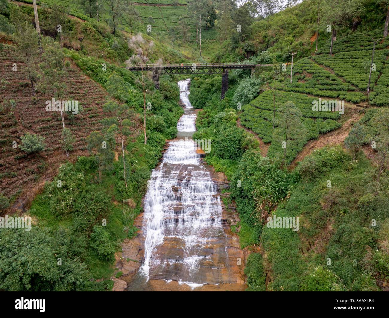 The Nanu Oya Waterfalls cascade through lush tea plantations in Sri ...