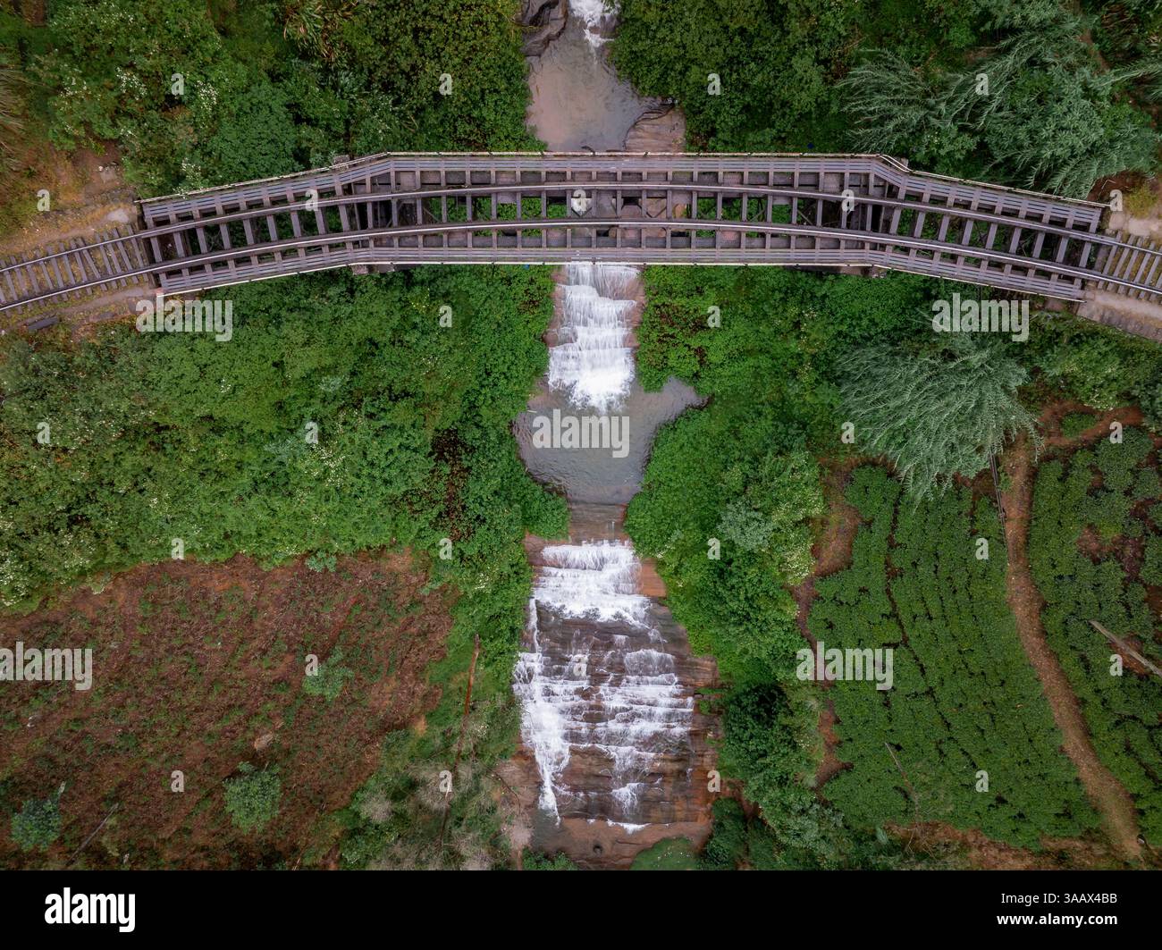 The Nanu Oya Waterfalls cascade through lush tea plantations in Sri ...
