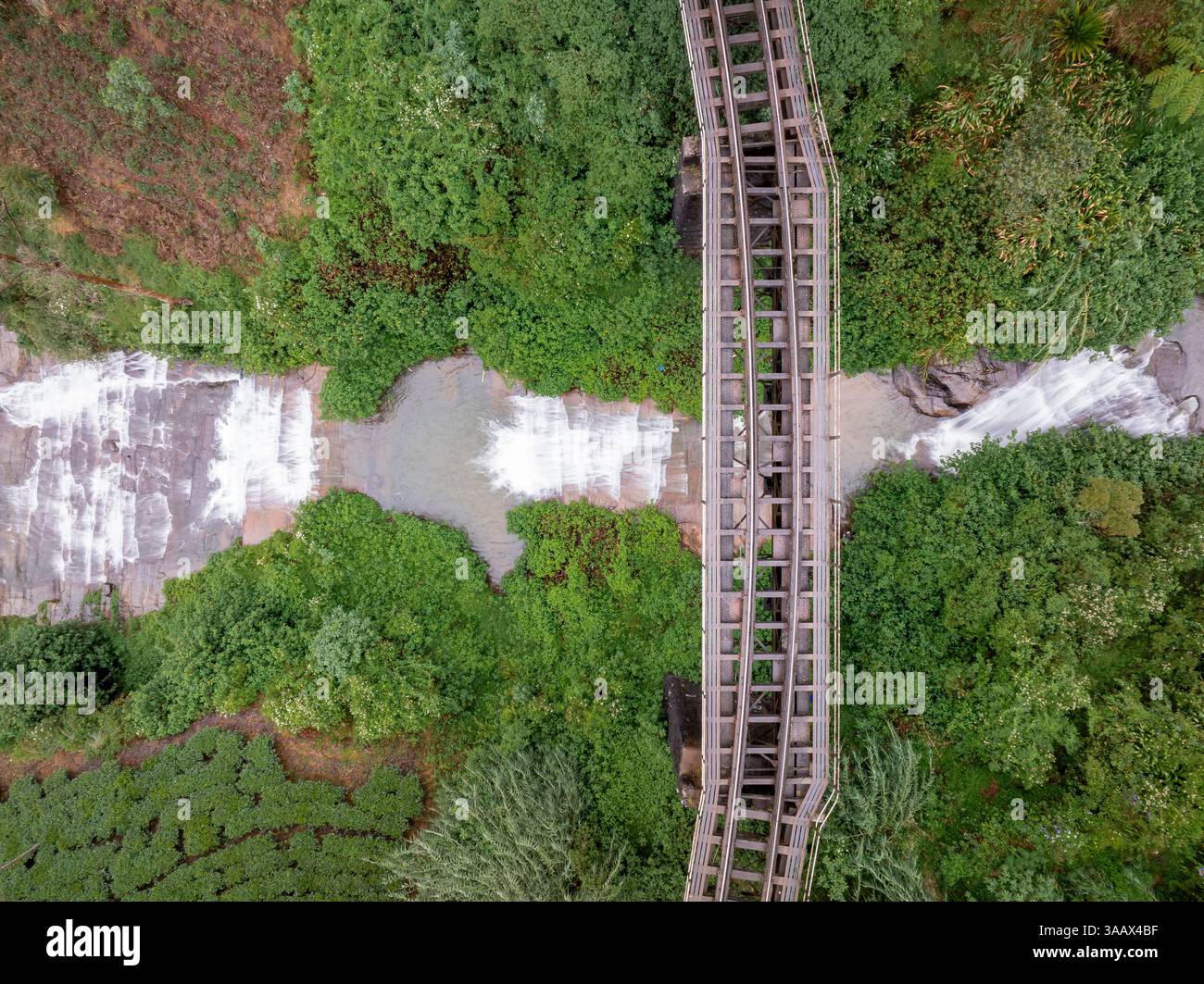 The Nanu Oya Waterfalls cascade through lush tea plantations in Sri ...