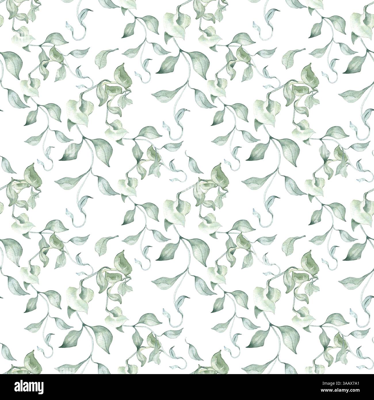 Elegant watercolor foliage pattern with vines and lianas in sage green ...