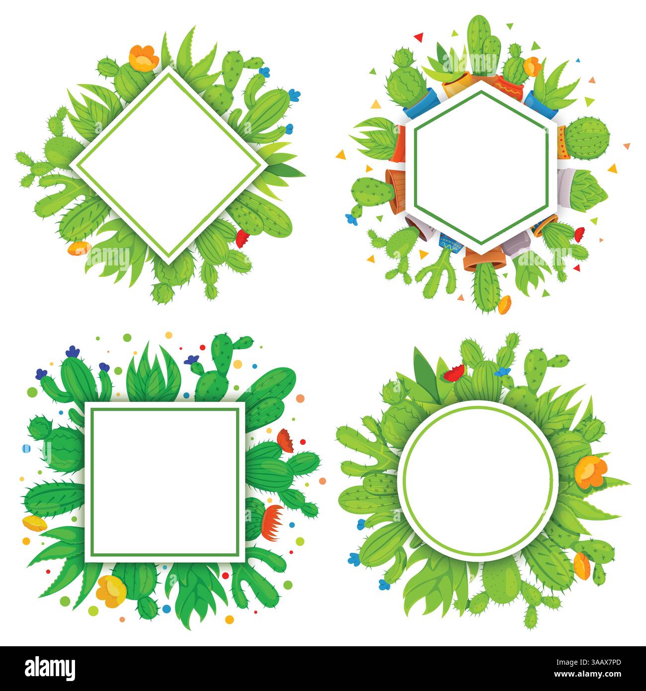 Set of 4 empty geometrical vector frames with cactuses and succulents. Home cactus plants with ...
