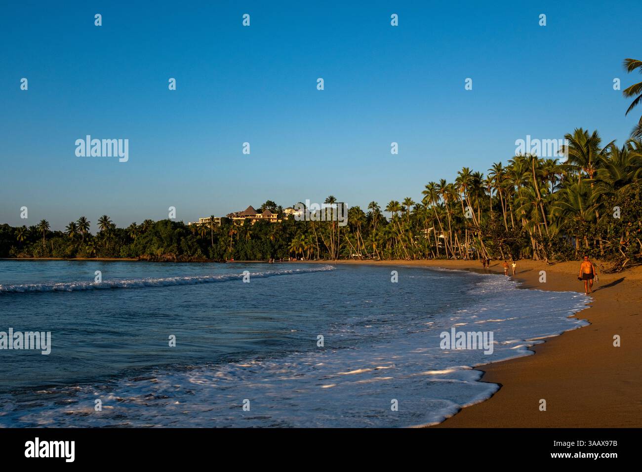 SAMANÁ, DOMINICAN REPUBLIC, MARCH 2025 Credits: Daniel Rodrigues Stock ...
