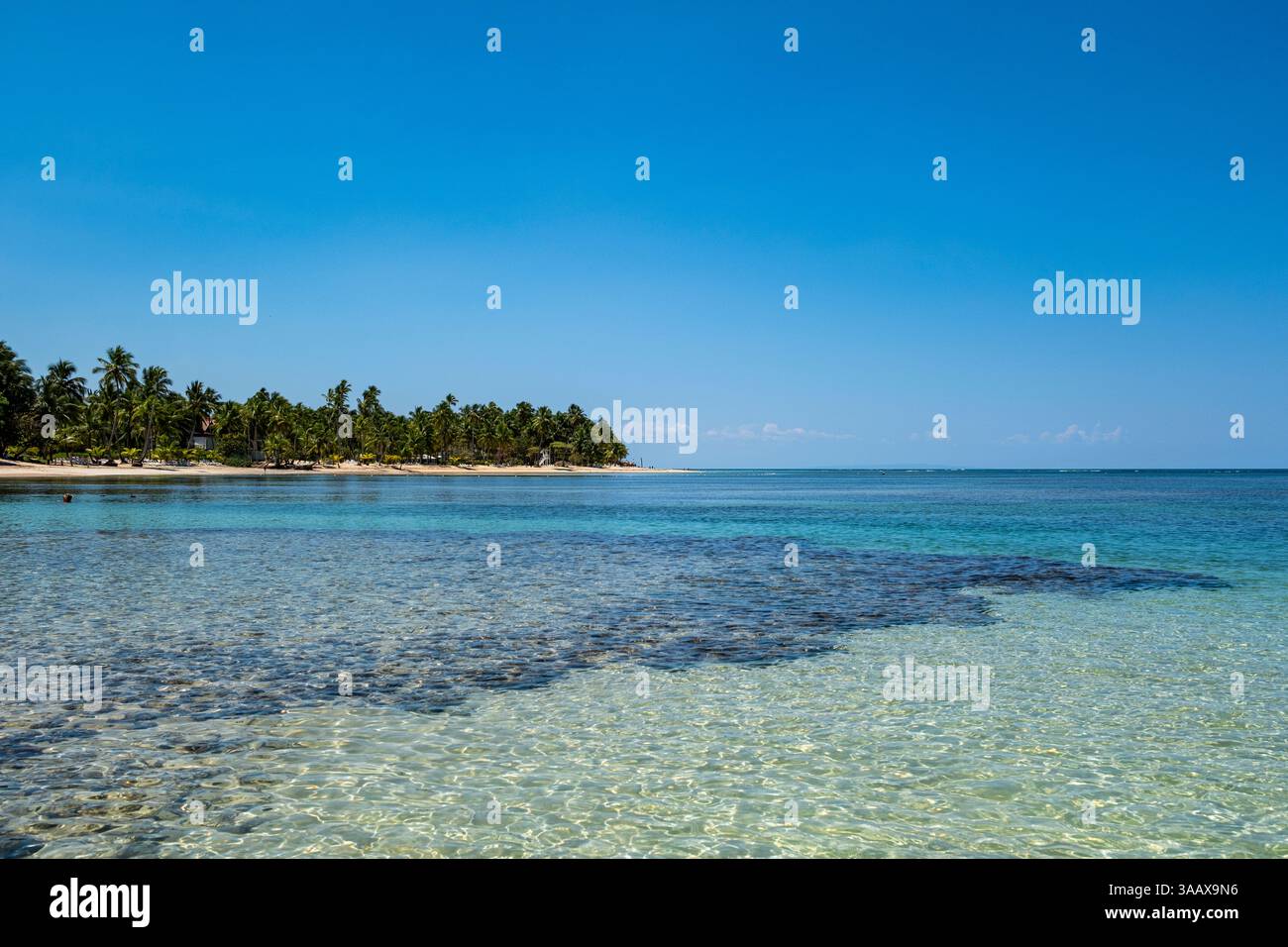 LAS TERRENAS, DOMINICAN REPUBLIC, MARCH 2025 Credits: Daniel Rodrigues ...