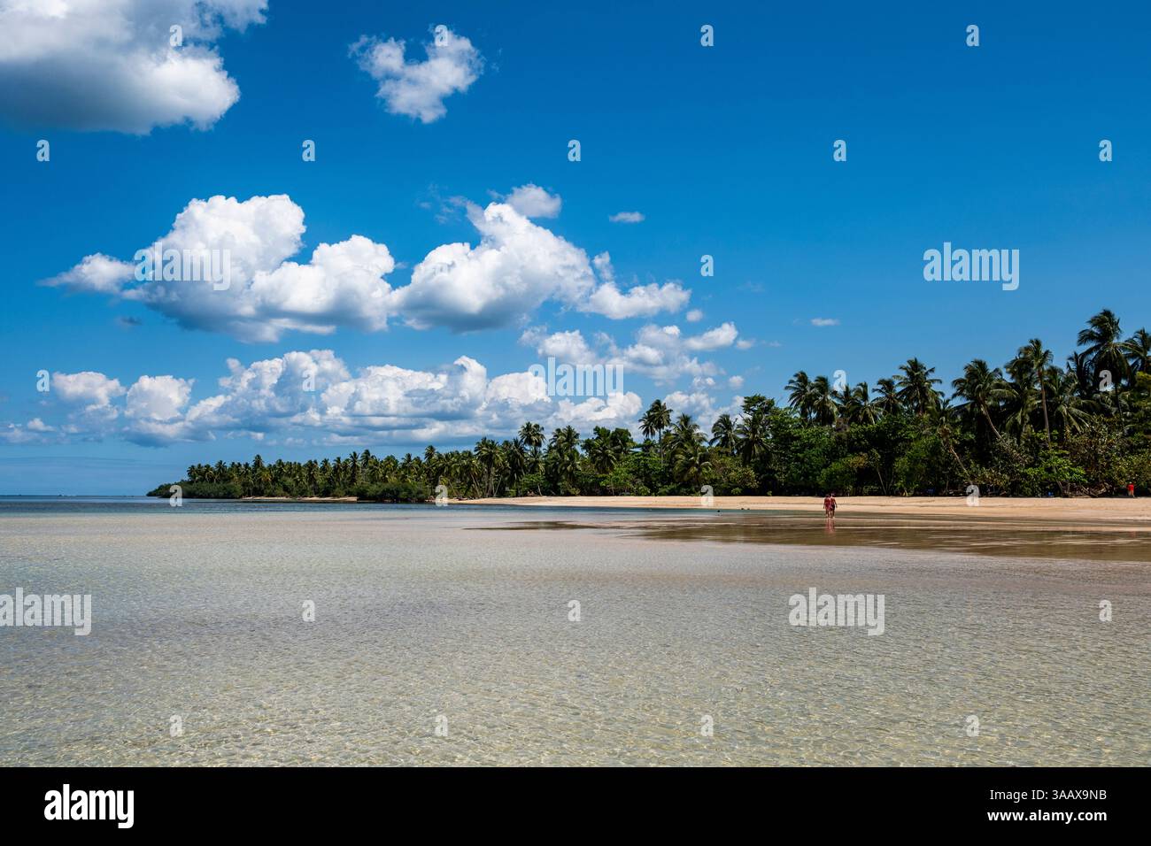 LAS TERRENAS, DOMINICAN REPUBLIC, MARCH 2025 Credits: Daniel Rodrigues ...