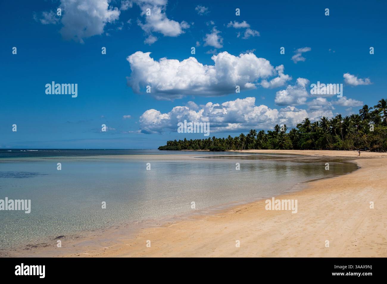 LAS TERRENAS, DOMINICAN REPUBLIC, MARCH 2025 Credits: Daniel Rodrigues ...