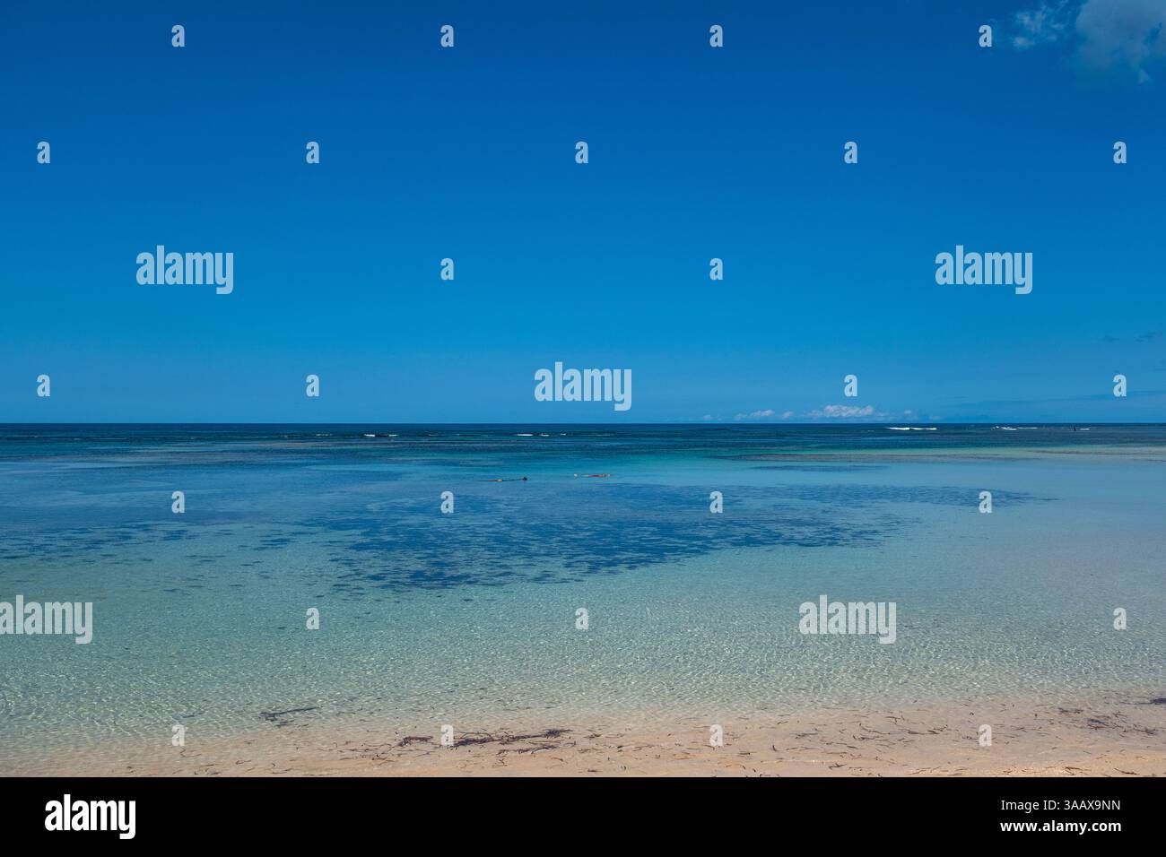 LAS TERRENAS, DOMINICAN REPUBLIC, MARCH 2025 Credits: Daniel Rodrigues ...