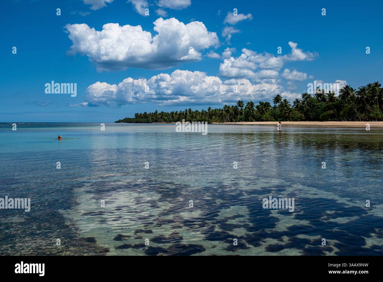LAS TERRENAS, DOMINICAN REPUBLIC, MARCH 2025 Credits: Daniel Rodrigues ...