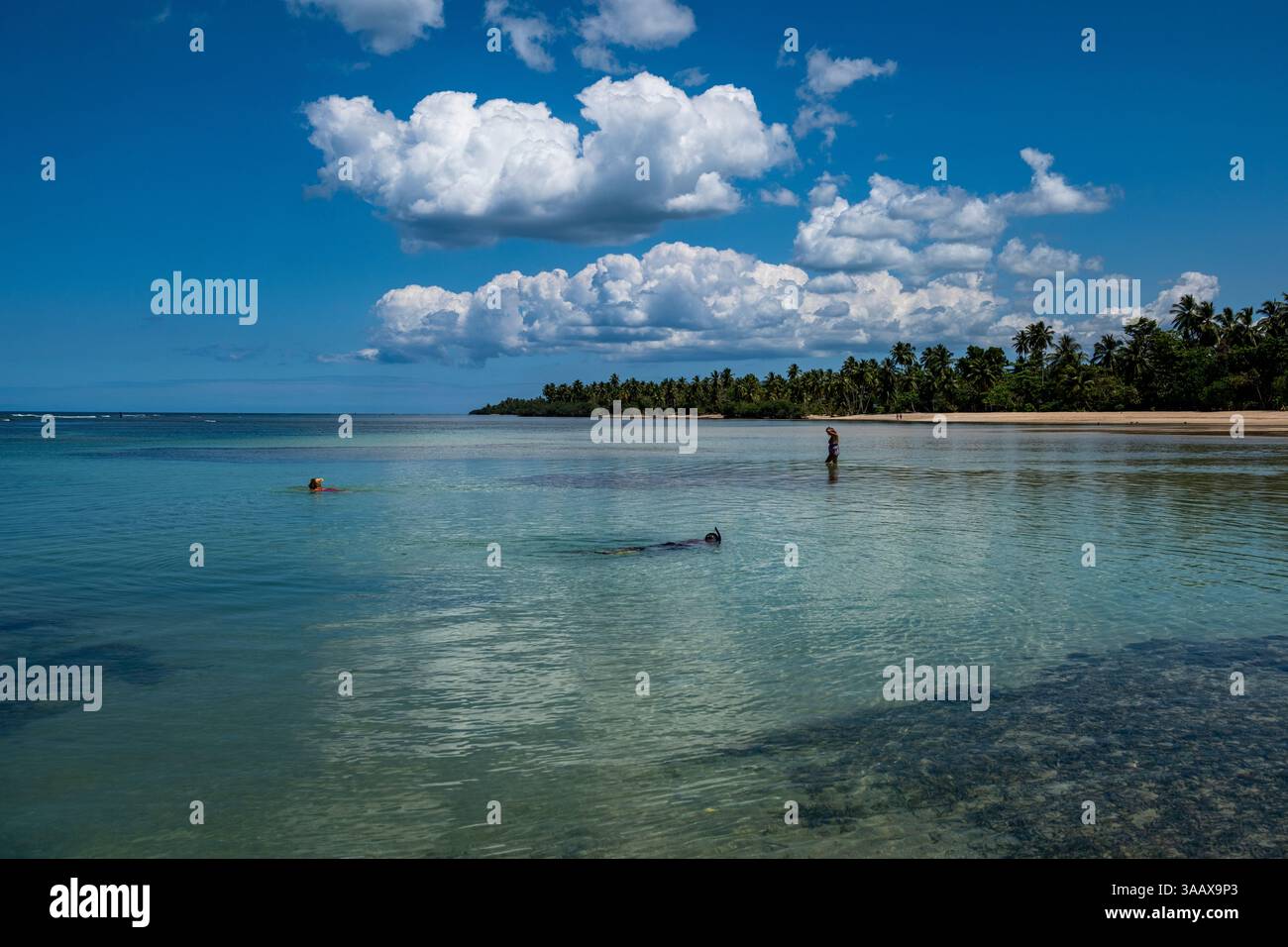 LAS TERRENAS, DOMINICAN REPUBLIC, MARCH 2025 Credits: Daniel Rodrigues ...