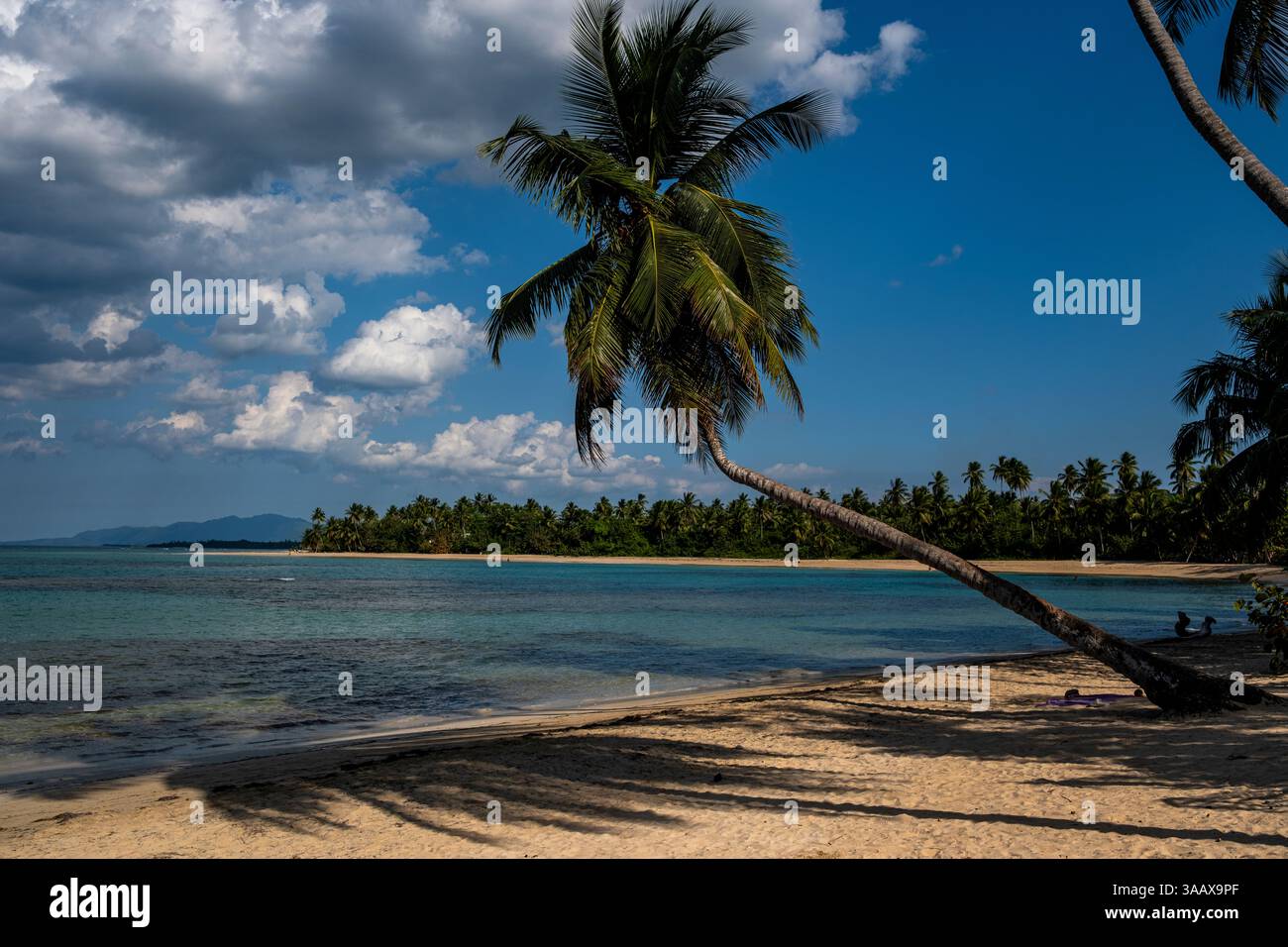LAS TERRENAS, DOMINICAN REPUBLIC, MARCH 2025 Credits: Daniel Rodrigues ...