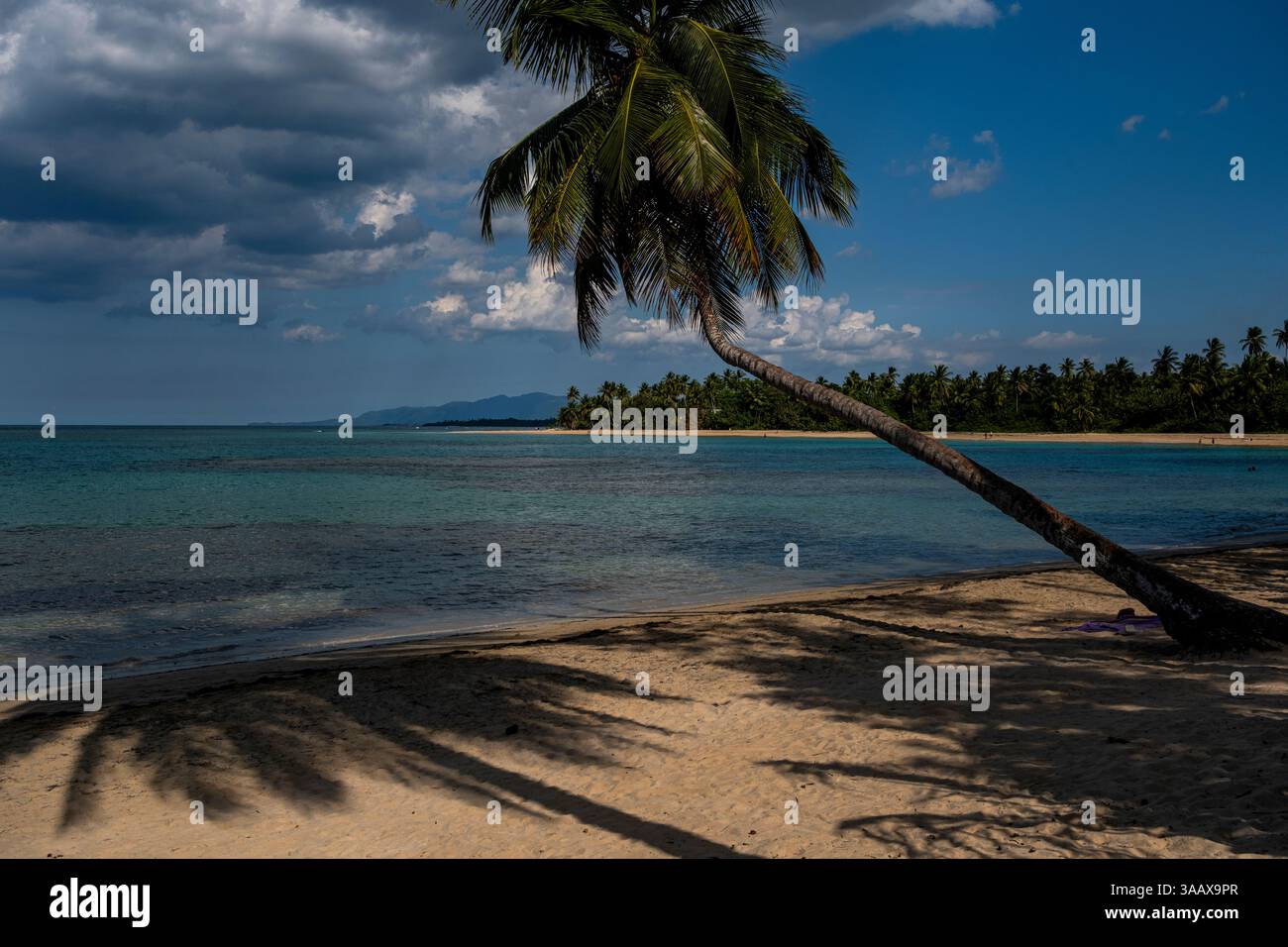 LAS TERRENAS, DOMINICAN REPUBLIC, MARCH 2025 Credits: Daniel Rodrigues ...
