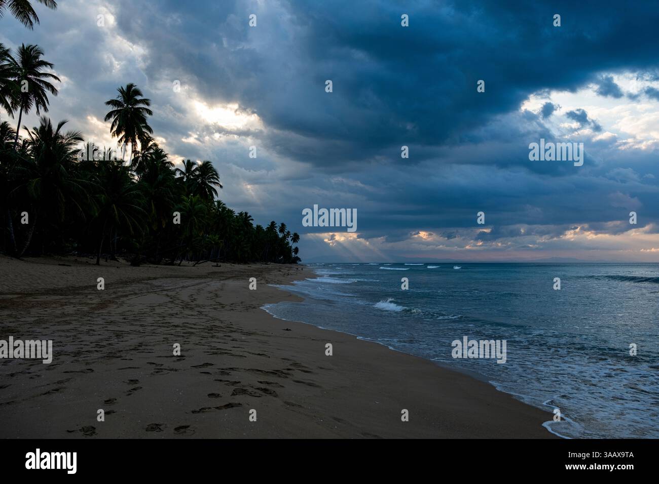 LAS TERRENAS, DOMINICAN REPUBLIC, MARCH 2025 Credits: Daniel Rodrigues ...