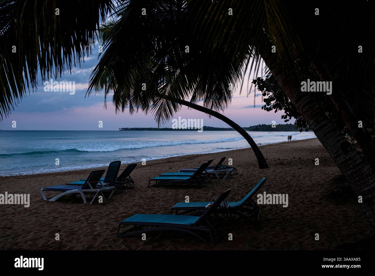LAS TERRENAS, DOMINICAN REPUBLIC, MARCH 2025 Credits: Daniel Rodrigues ...