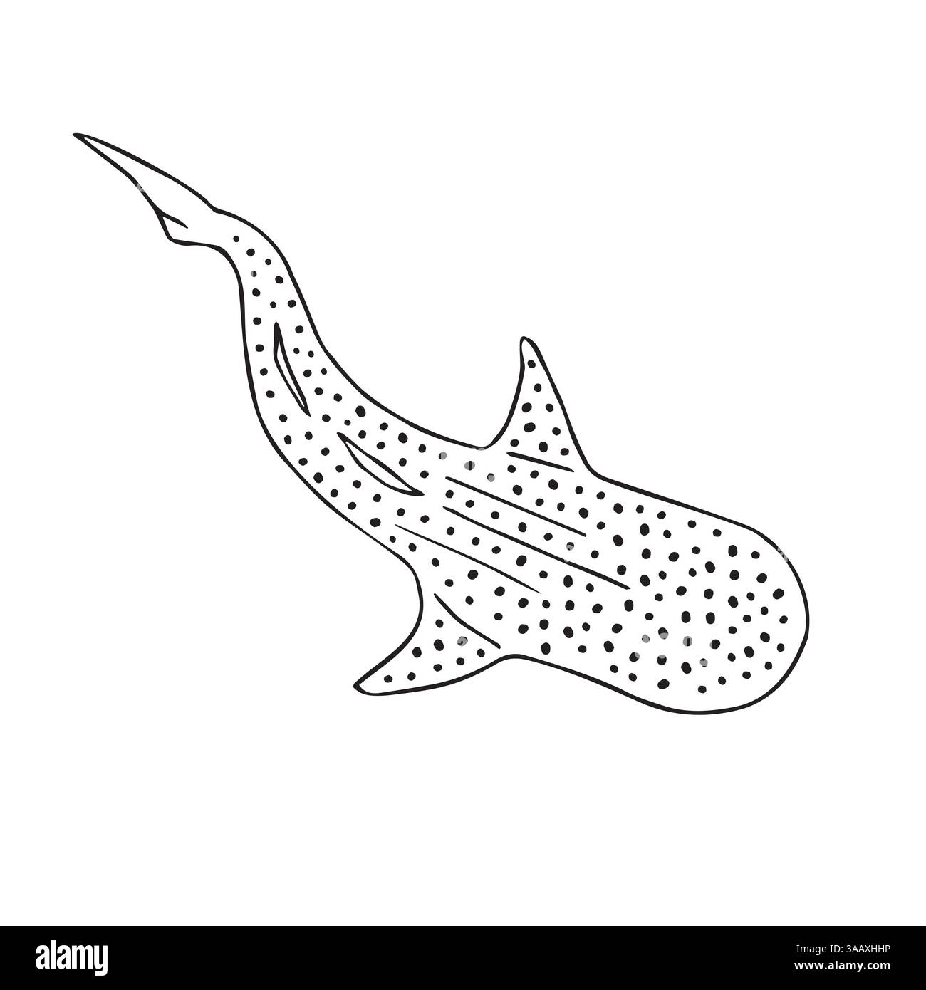 Vector hand drawn sketch outline whale shark Stock Vector Image & Art ...