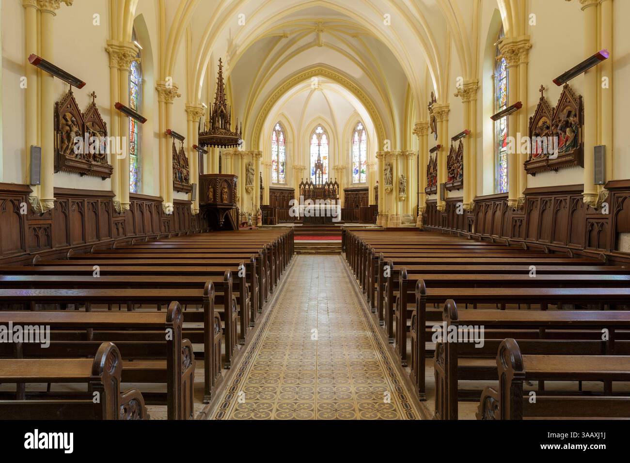 France, Meurthe et Moselle, Bauzemont, Saint Martin church, the choir ...