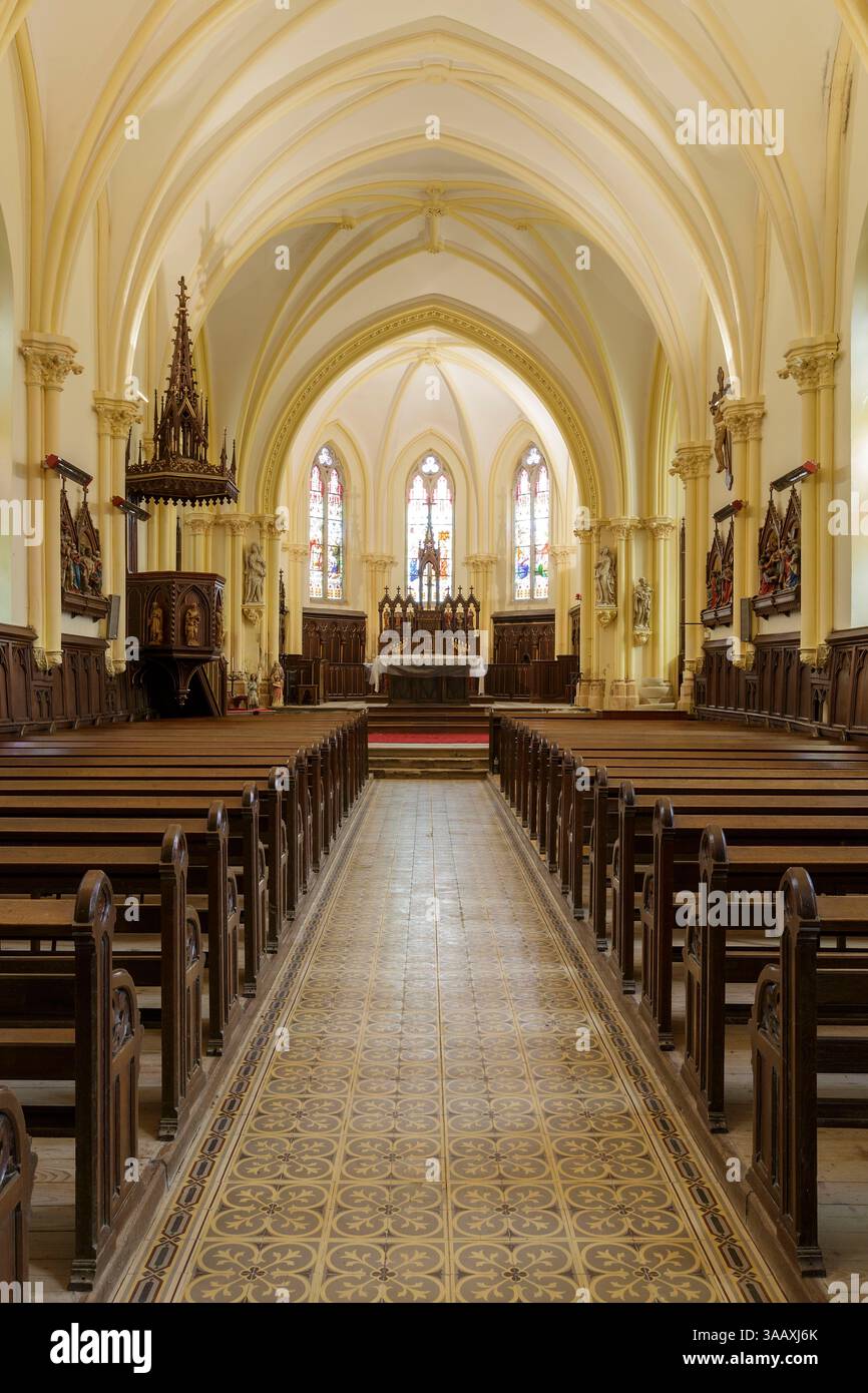 France, Meurthe et Moselle, Bauzemont, Saint Martin church, the choir ...