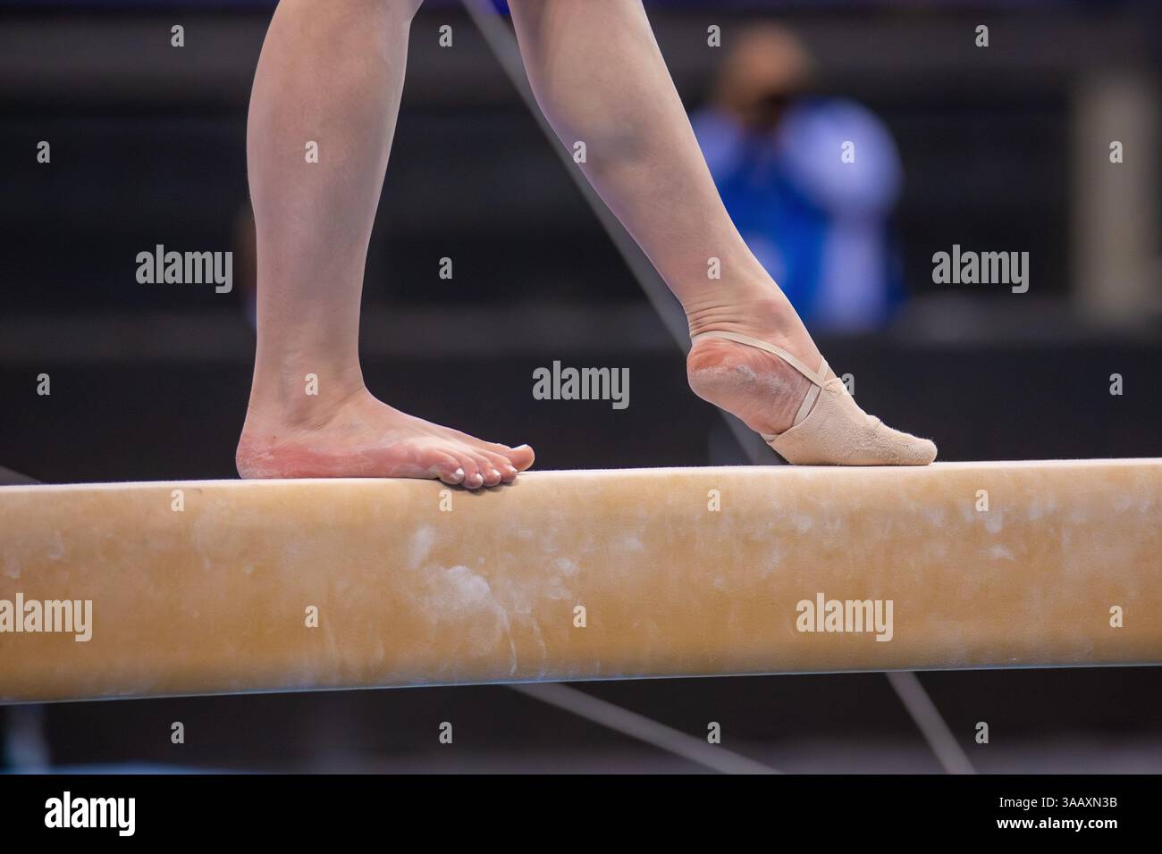 Symbolic image of apparatus gymnastics: Close-up of a gymnast on the ...