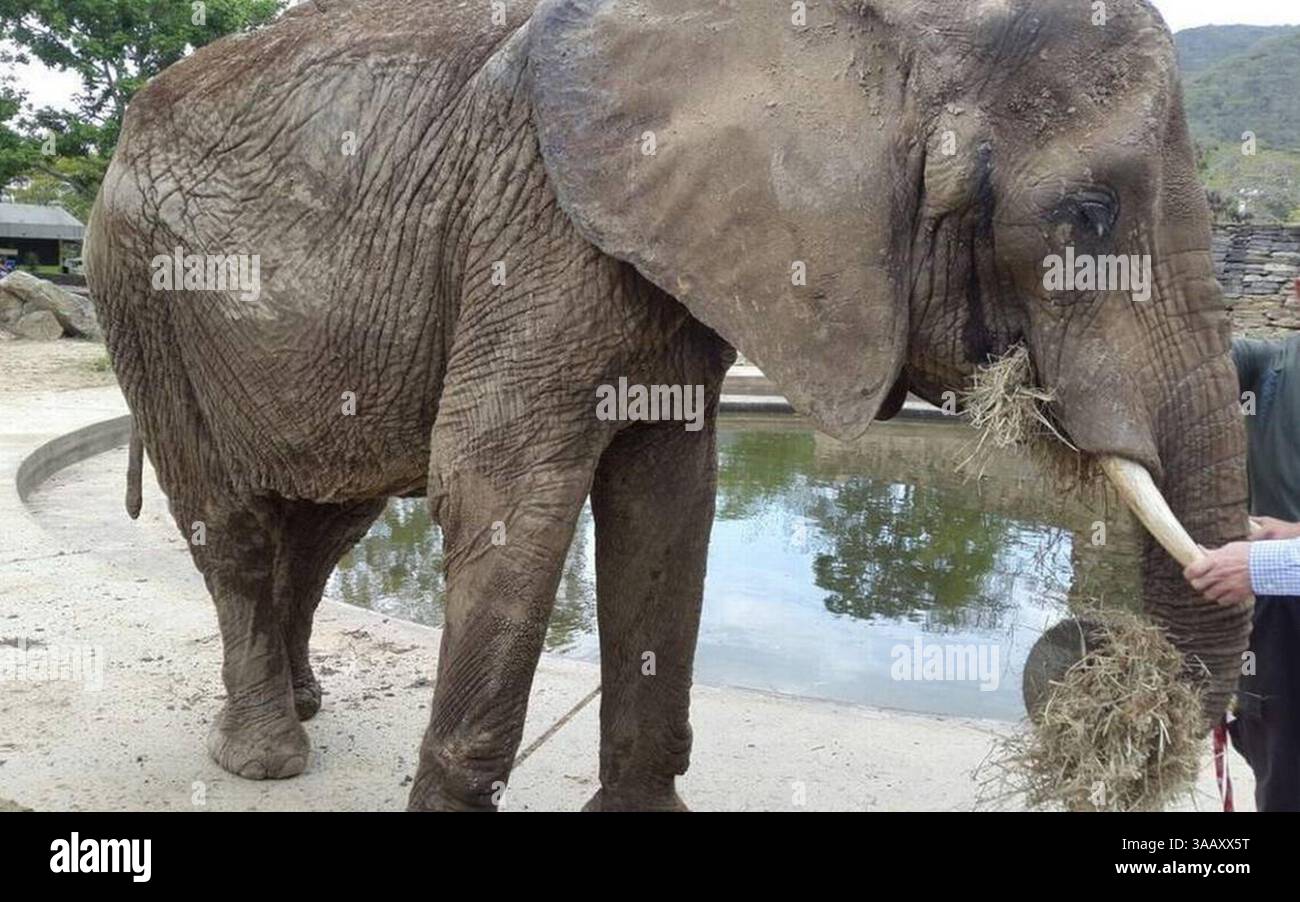 March 13, 2018 - VEN - When pictures of an emaciated 46-year-old ...