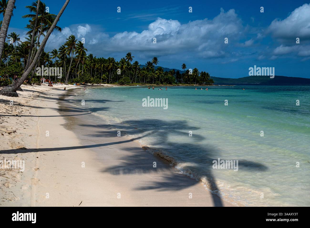 LAS GALERAS, DOMINICAN REPUBLIC, MARCH 2025 Credits: Daniel Rodrigues ...
