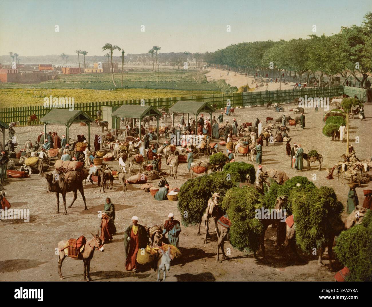 Photochrom print of a bustling tollyard bridge in Cairo, Egypt Stock ...