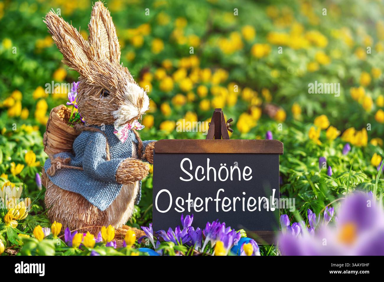 Germany - April 1, 2025: PHOTOMONTAGE, Easter bunny in a green meadow ...