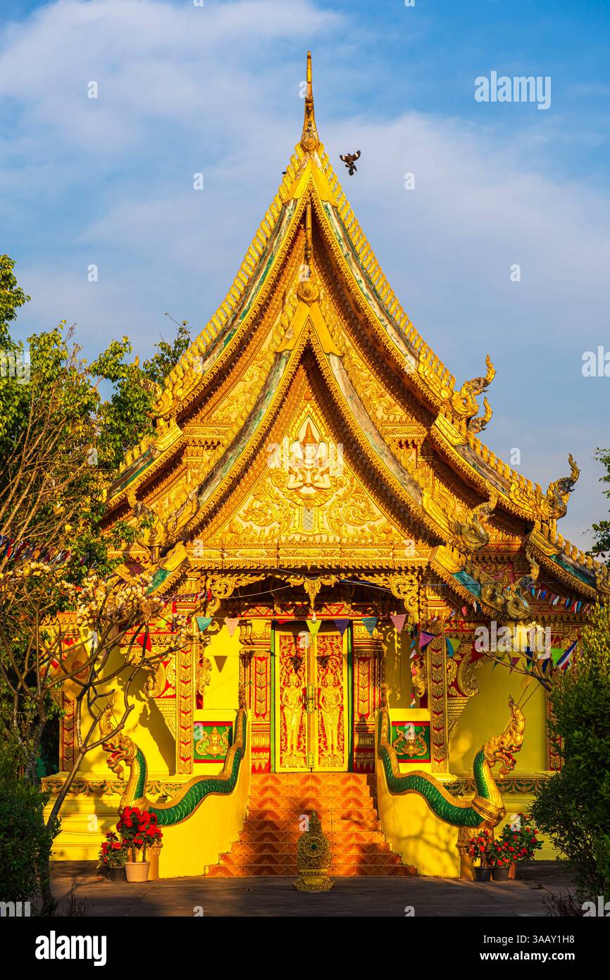 Laos, Champasak province, Champassak village, Vat Nakorn, Buddhic ...