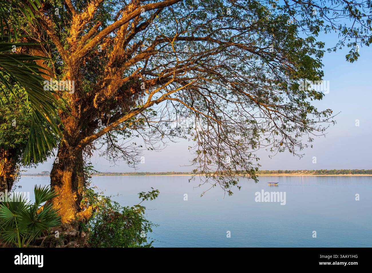 Laos, Champasak province, Champassak village, the banks of the Mekong ...