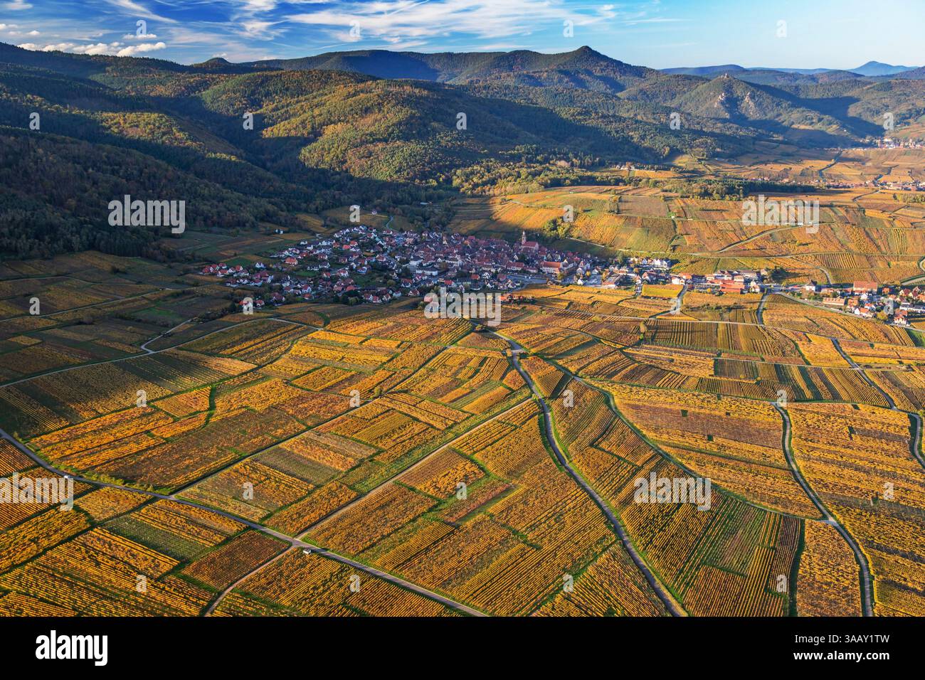 France, Haut Rhin, Alsace Wine Road, Riquewihr village, labelled Les ...