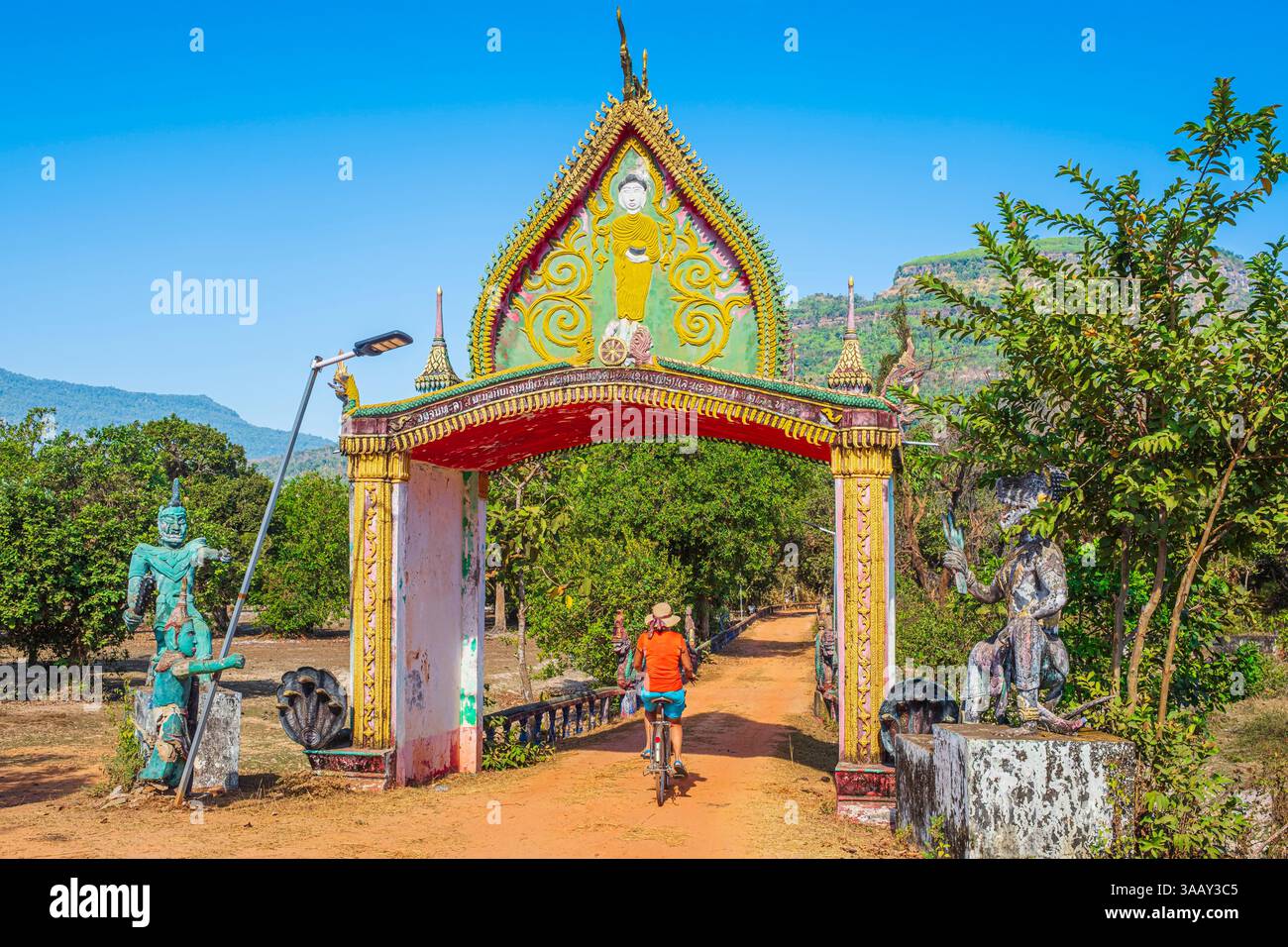 Laos, Champasak province, surroundings of Champassak village, bike ride in the rice fields ...