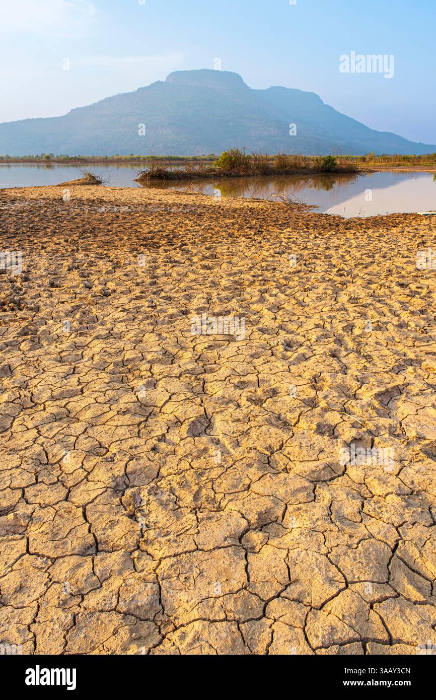 Laos, Champasak province, surroundings of Champassak village, dried ...