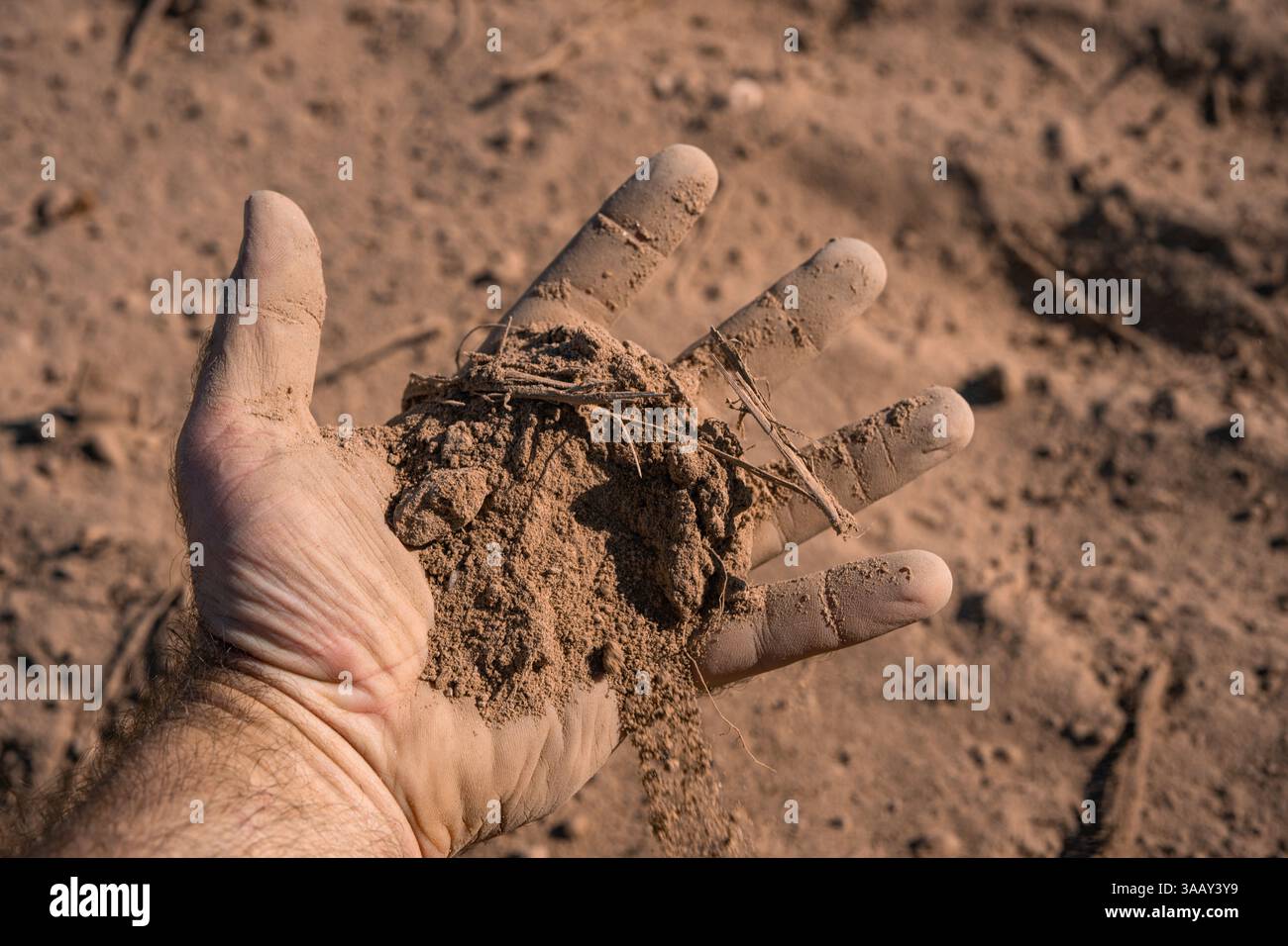 Soil in Farmers hand. Land soil prepared for planting. Farmer ...