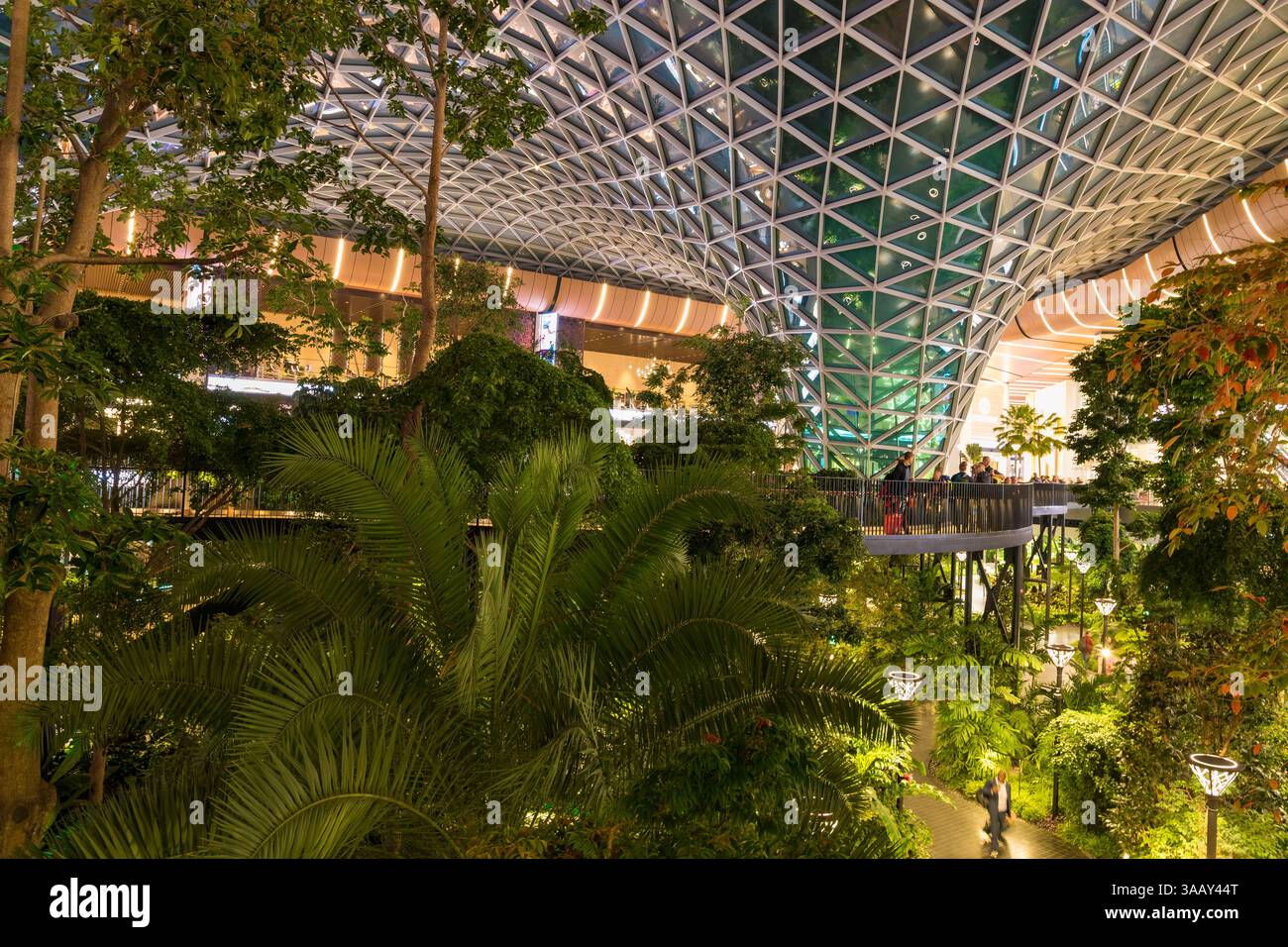 Qatar, Doha, Hamad international airport, tropical garden Stock Photo ...