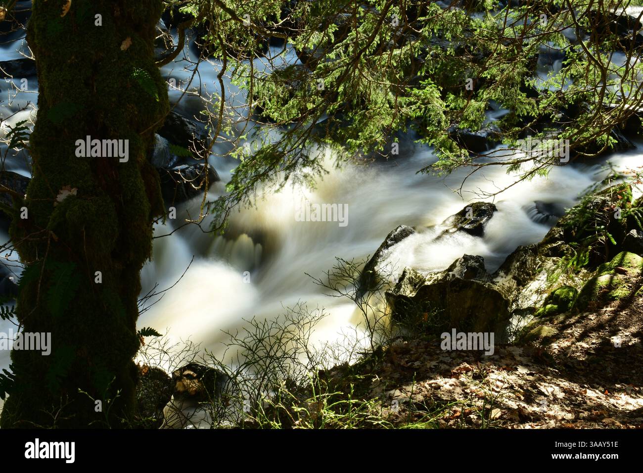 Braw scotland hi-res stock photography and images - Alamy
