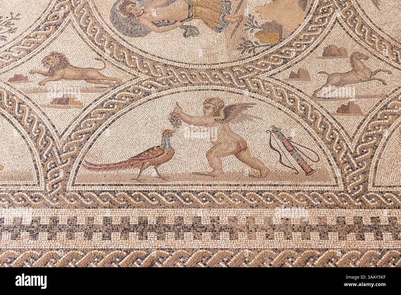 Spain, Andalusia, Linares, Castulo archeological site, Mosaico de los ...