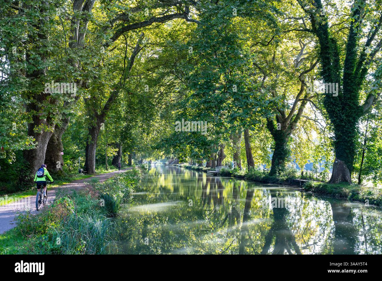 France, Jura, Dole bike ride along the Doubs, on the banks of the Rhone-Rhine canal under the ...