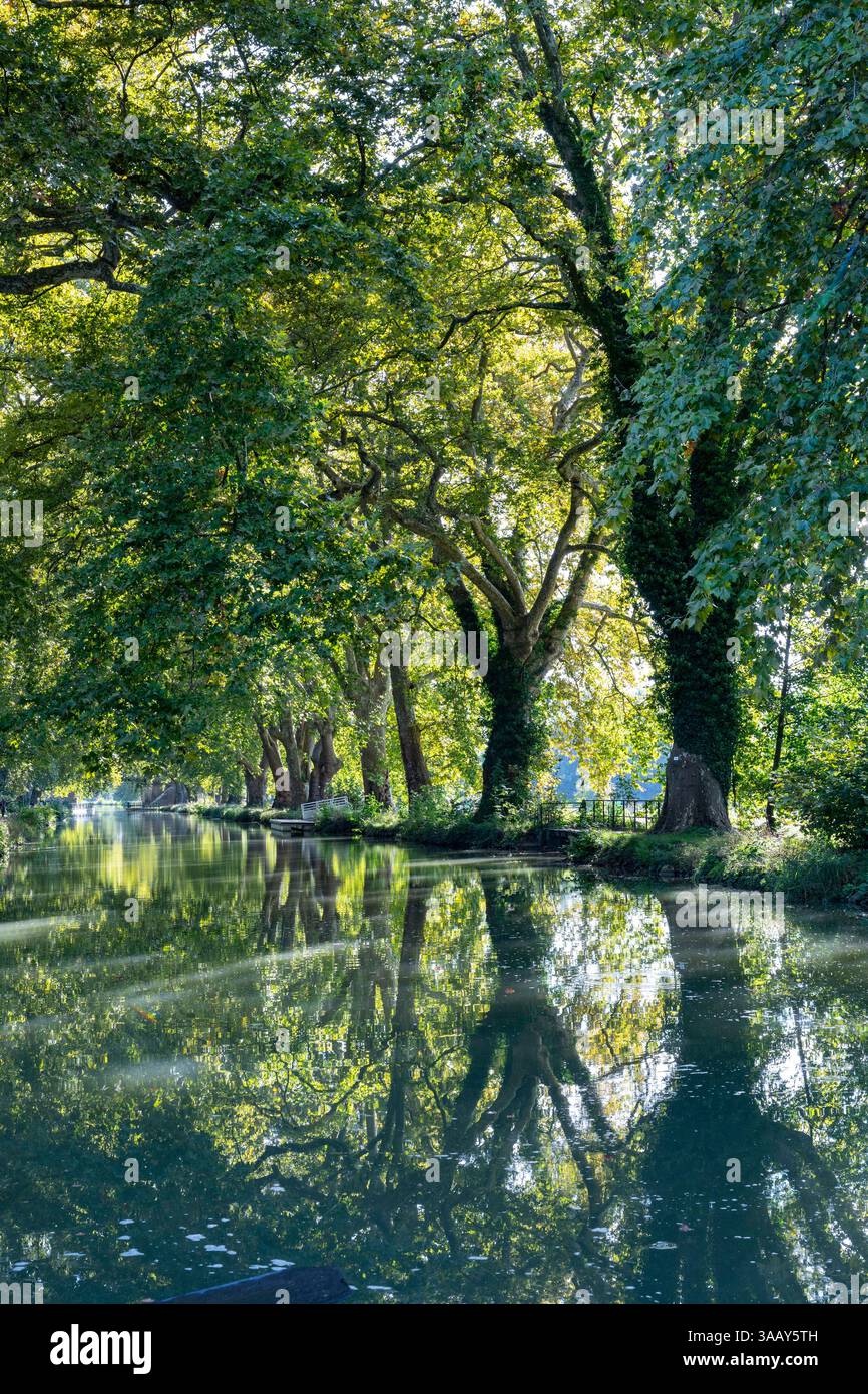 France, Jura, Dole bike ride along the Doubs, on the banks of the Rhone ...