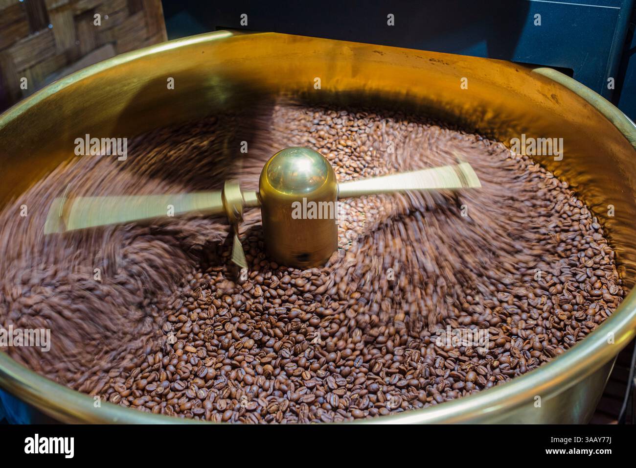 Laos, Champasak province, Bolaven Plateau, Paksong, LAK 40 Coffee Farm ...