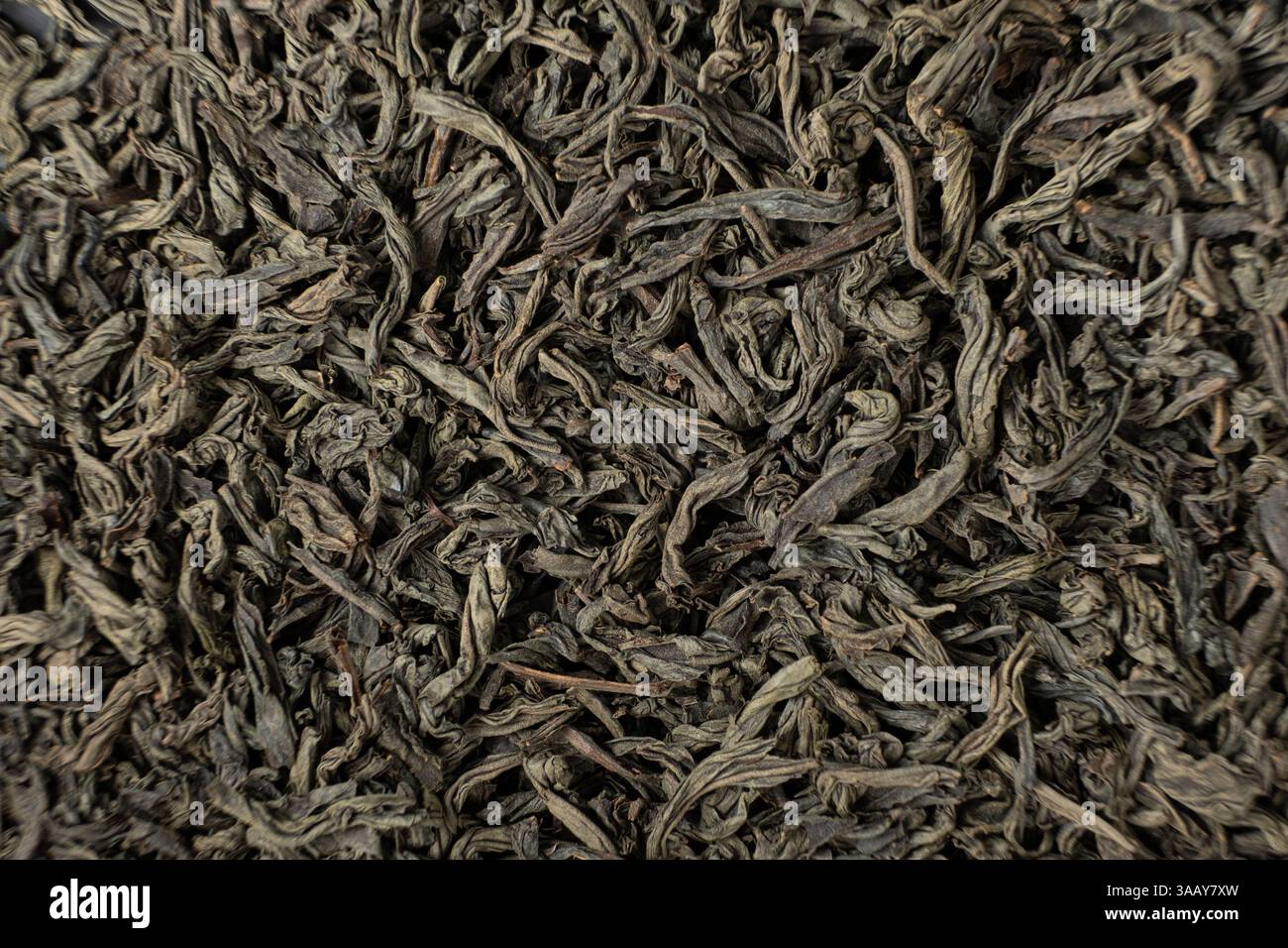 Loose leaf premium quality hi-res stock photography and images - Alamy