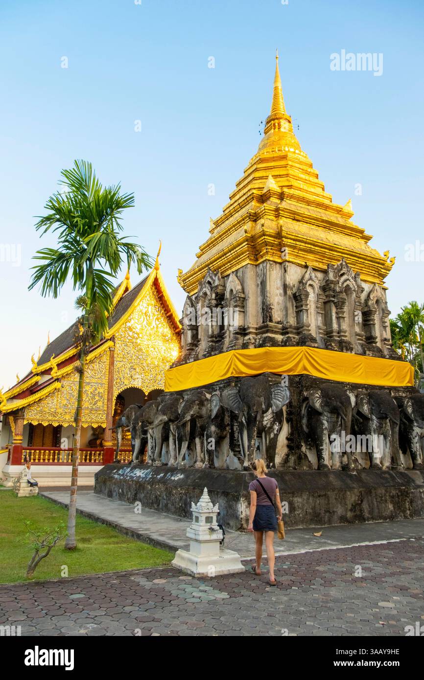 Thailand, Chiang Mai, Wat Chiang Man temple Stock Photo - Alamy