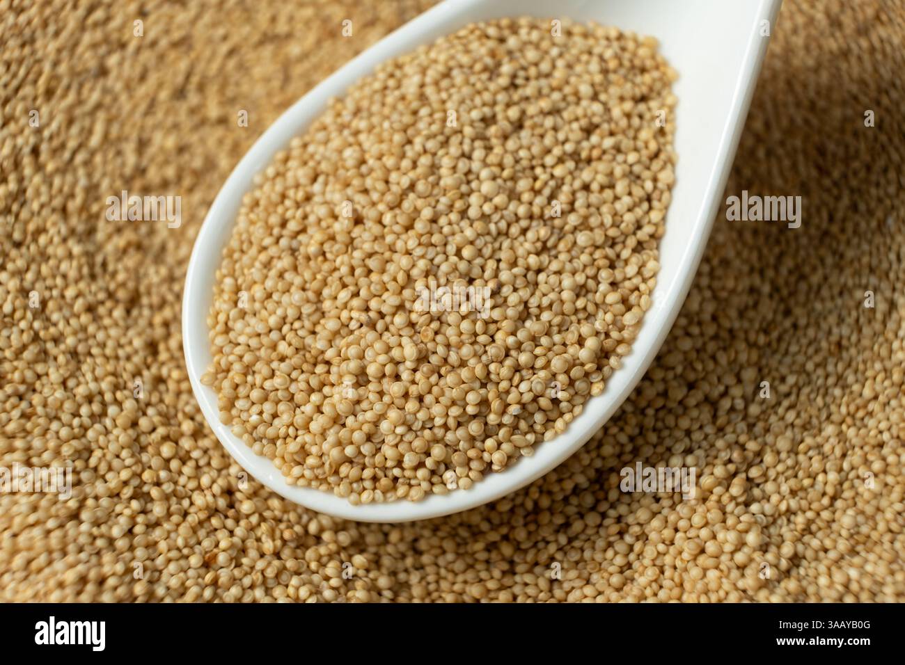 Amaranth grain seeds in hi-res stock photography and images - Alamy