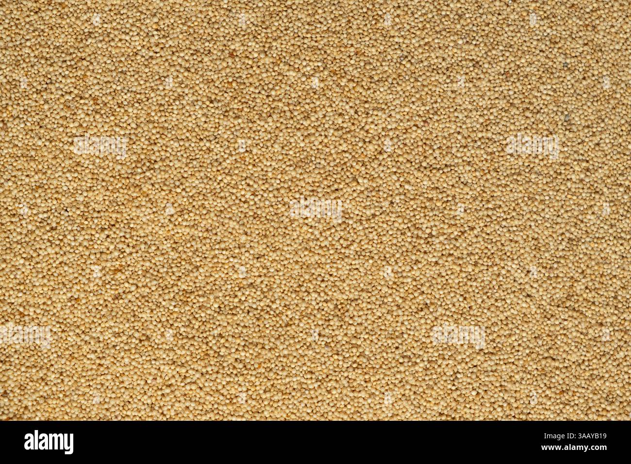 Raw whole dried amaranth seeds hi-res stock photography and images - Alamy