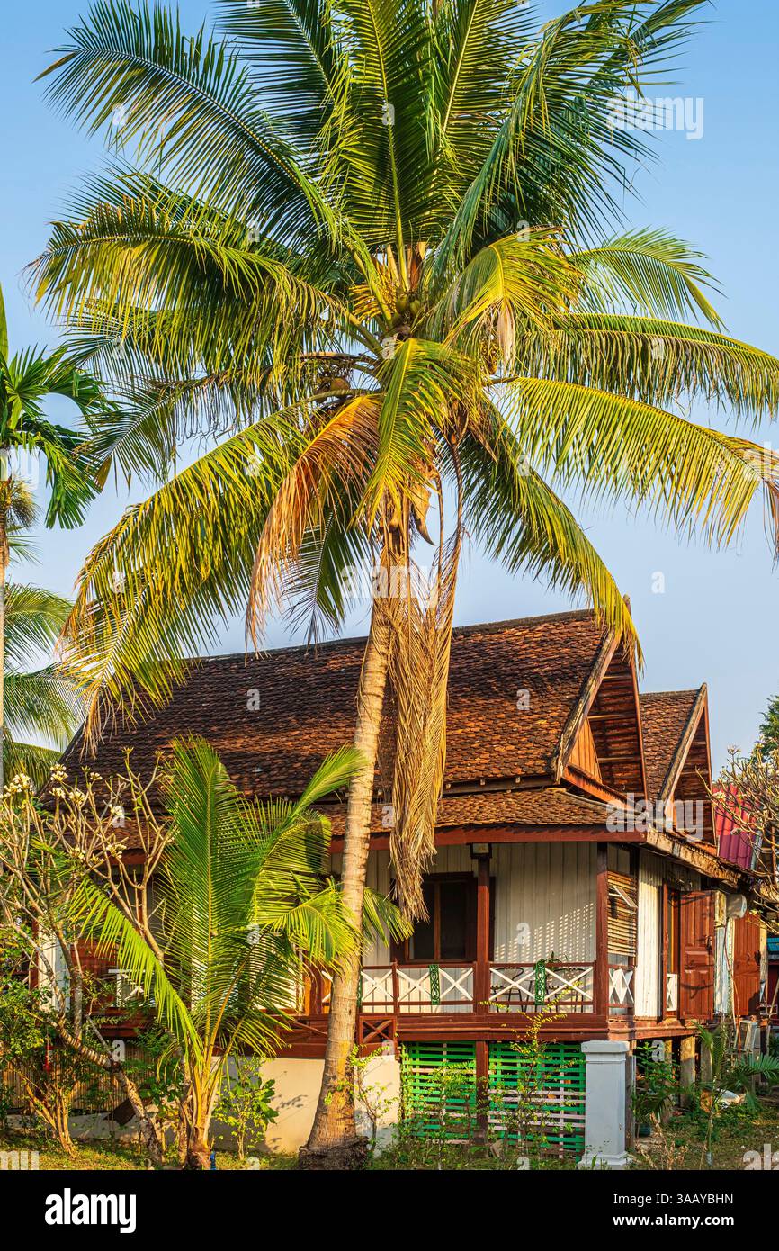 Laos, Champasak province, Si Pan Don region (or 4000 islands region ...