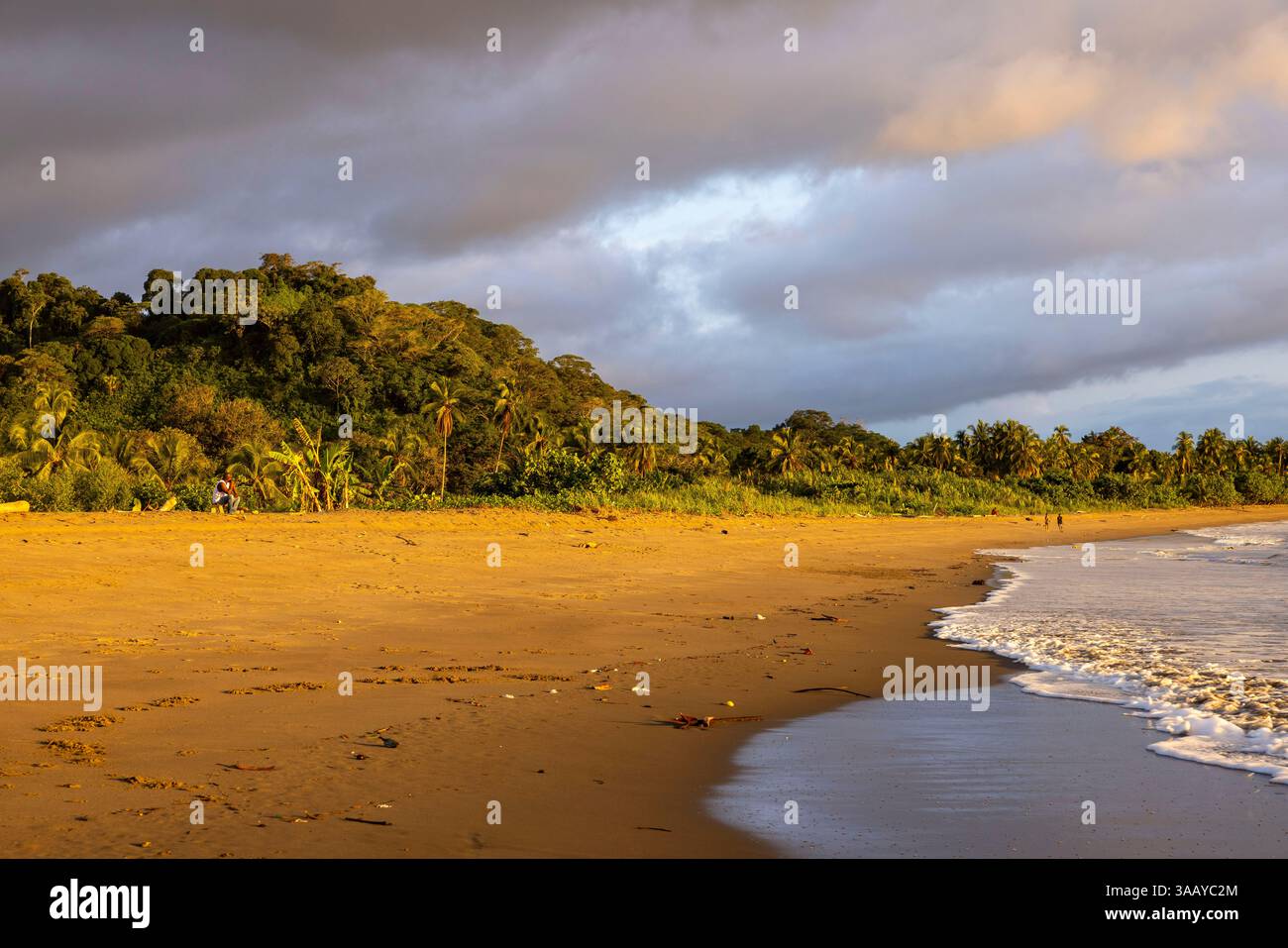 Colombia, Chocó Department, Nuqui, beach of the coastal village of ...