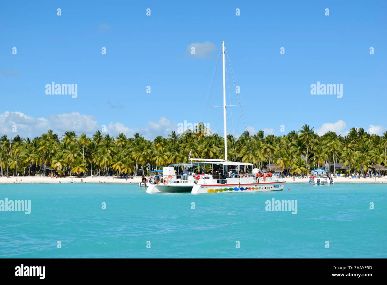 Dominican Republic, Saona Island, Playa del Gato beach and coconut ...