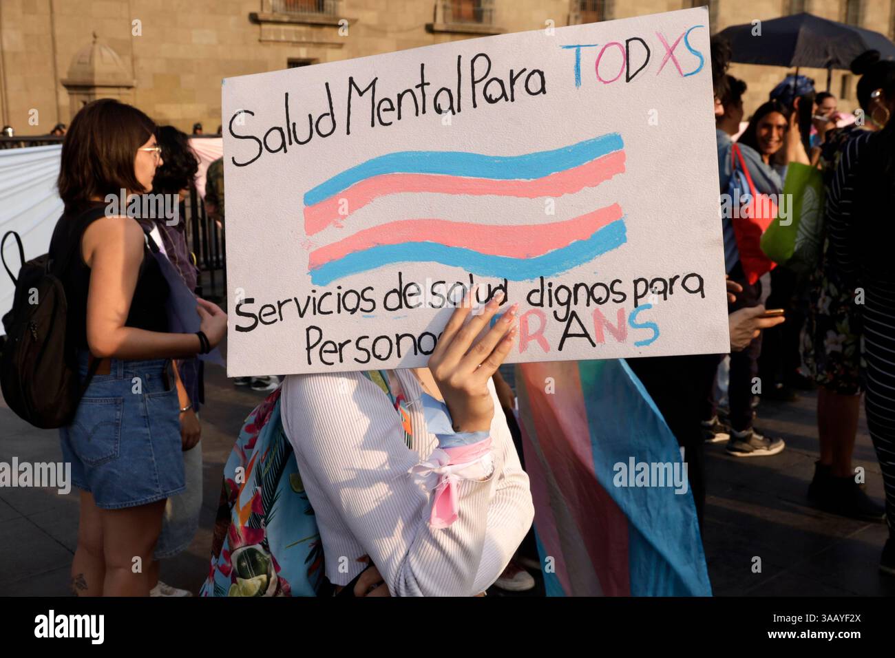 Mexico City, Mexico. 31st Mar, 2025. A member of the transgender ...