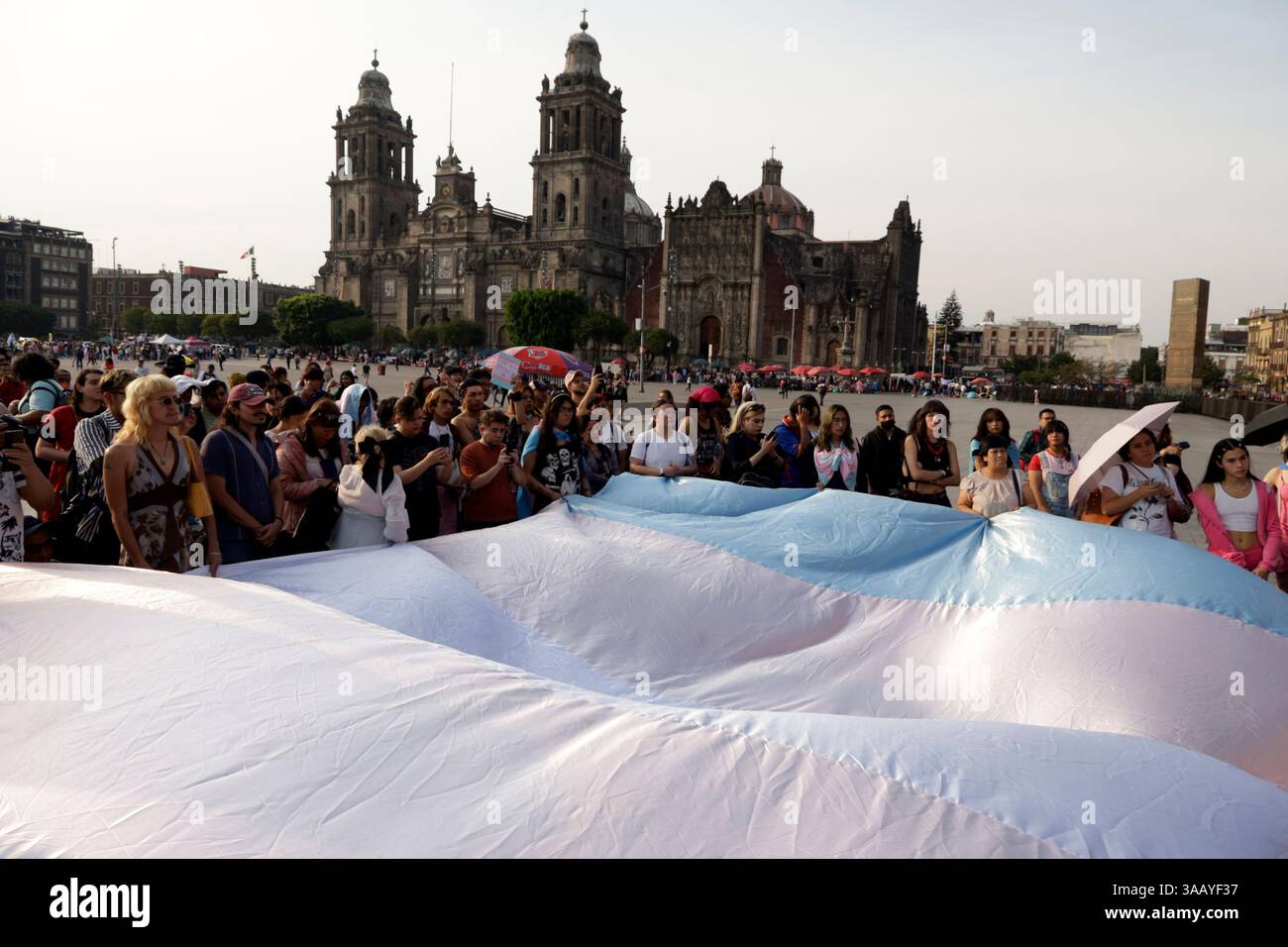 Mexico City, Mexico. 31st Mar, 2025. Members of the transgender ...
