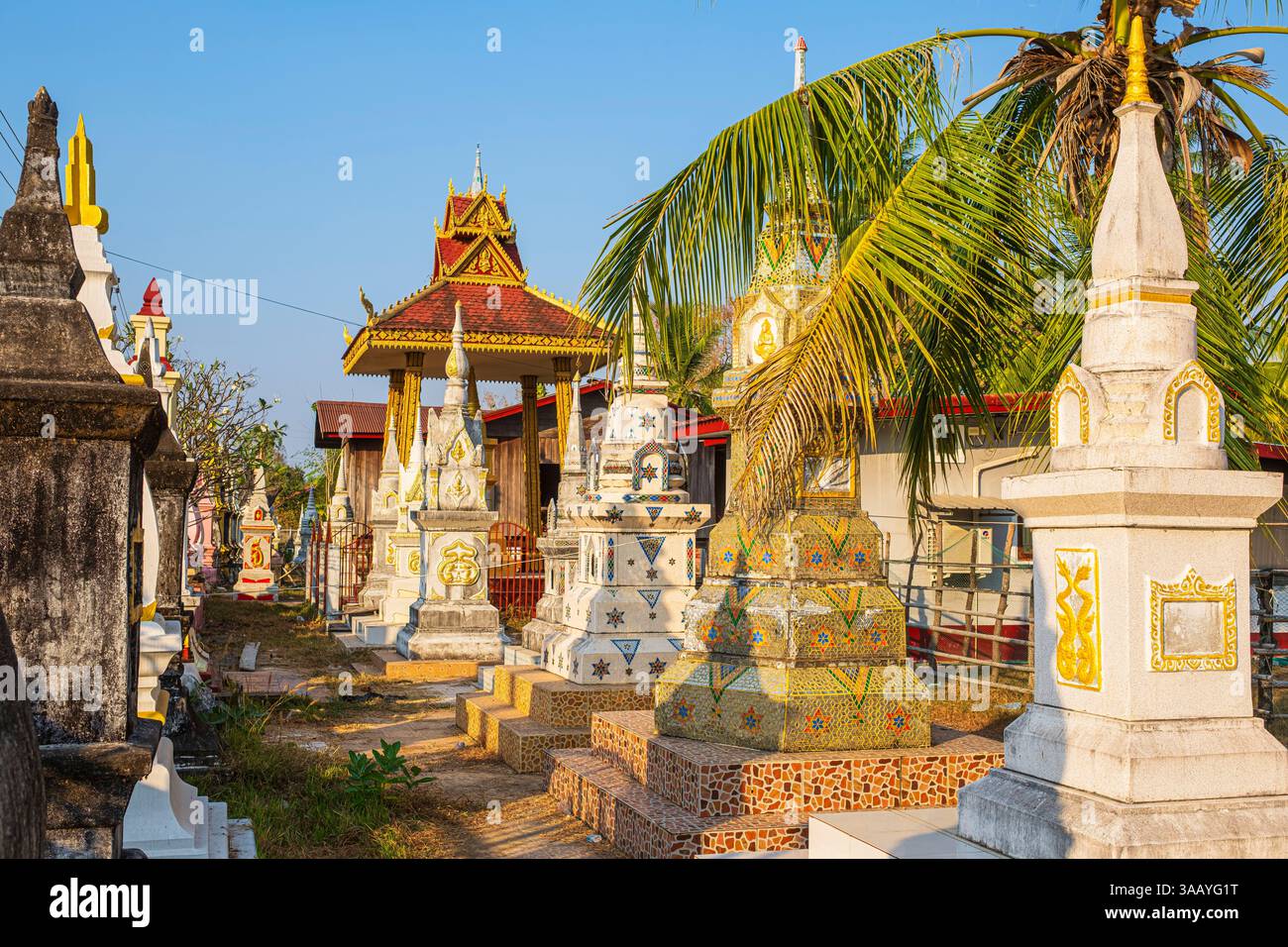 Laos, Champasak province, Si Pan Don region (or 4000 islands region ...
