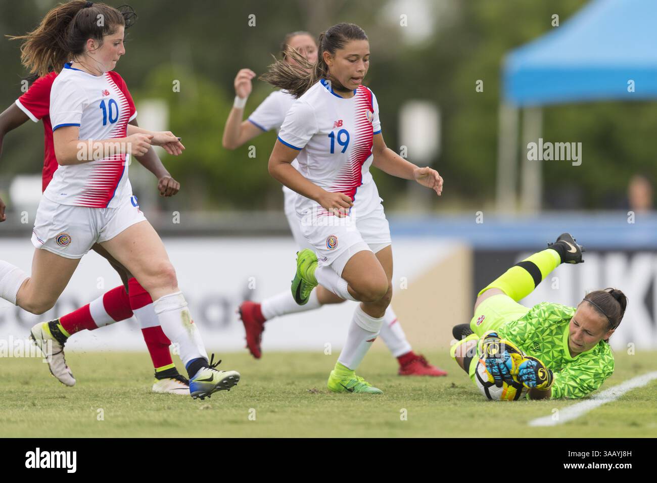 Anna karpenko hi-res stock photography and images - Alamy